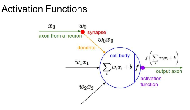 [풀잎스쿨] CS231n 6강 Training Neural Networks Part 1 (1)